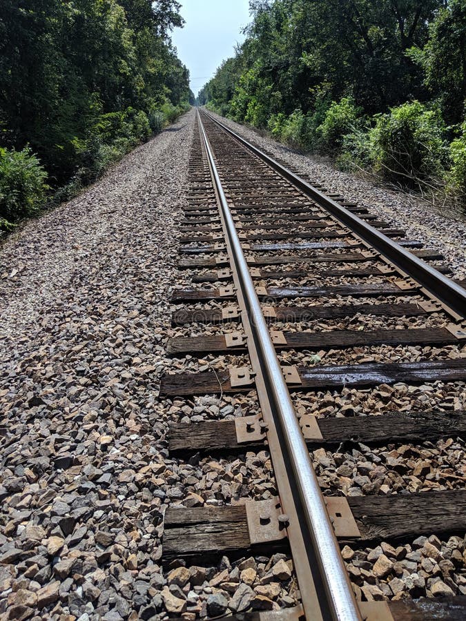 The Endless Railroad Tracks in the Summer Sunshine... Stock Image ...