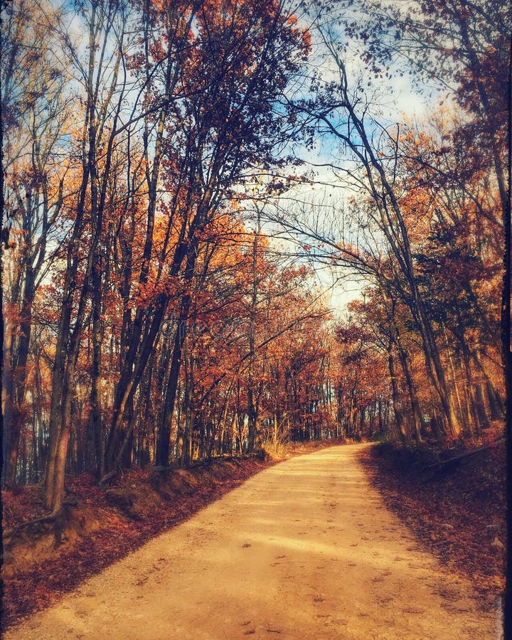 An endless road stock photo. Image of autumn, nature - 178153284