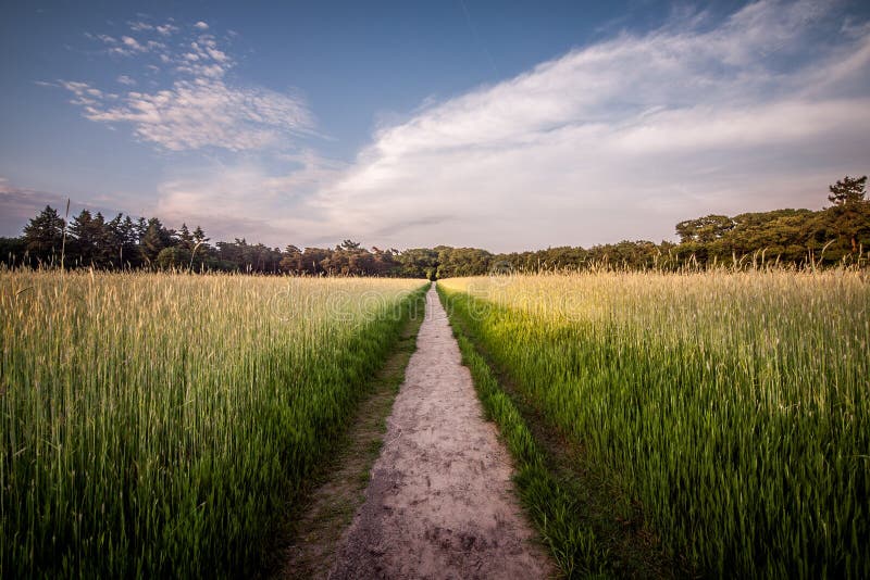 Endless road stock photo. Image of netherlands, utrechtse - 75647992