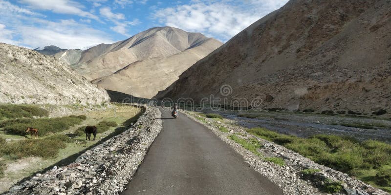 Endless road stock photo. Image of endless, road, mountain - 126423754