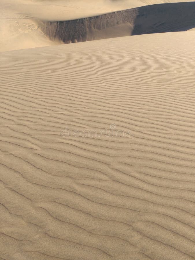 Endless - sand dunes stock photo. Image of dunes, pattern - 104206762