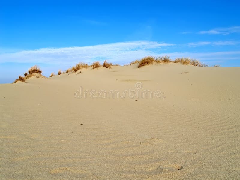 Endless Sands of the Curonian Spit. Kaliningrad Region Stock Photo ...