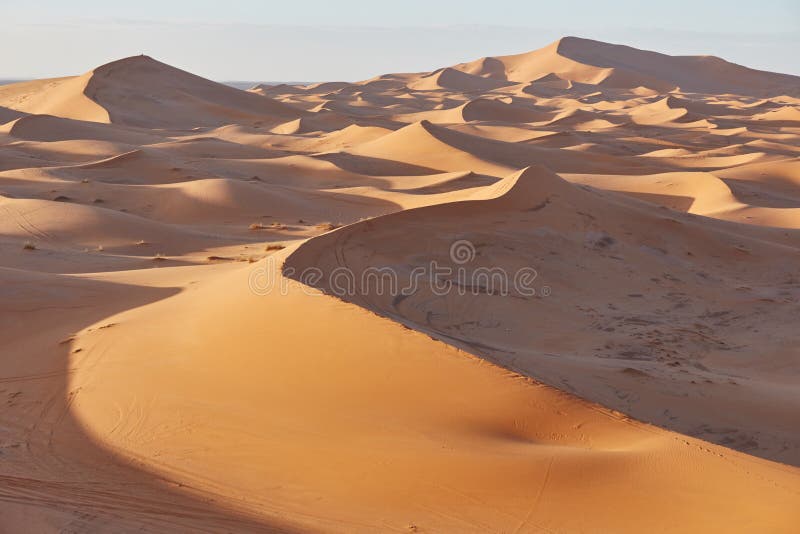 Endless Sands Of The Sahara Desert Beautiful Sunset Over Sand Dunes Of