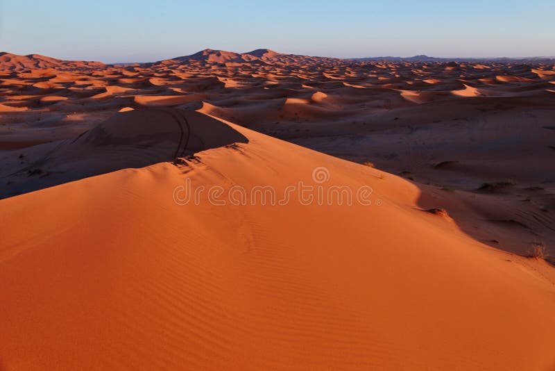 Endless Sands Of The Sahara Desert Beautiful Sunset Over Sand Dunes Of