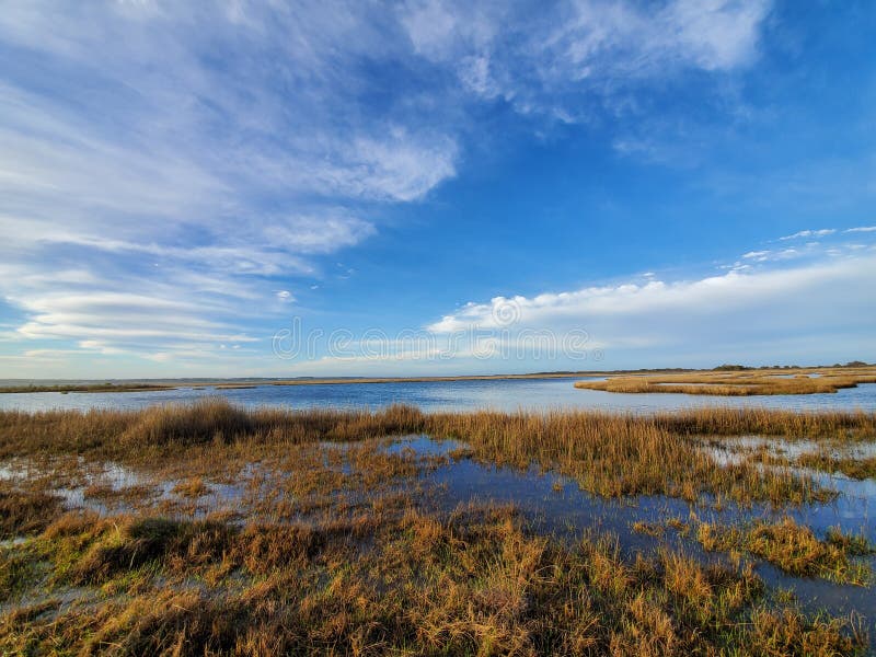 Endless Water marshes stock image. Image of clouds, marshes - 168573837