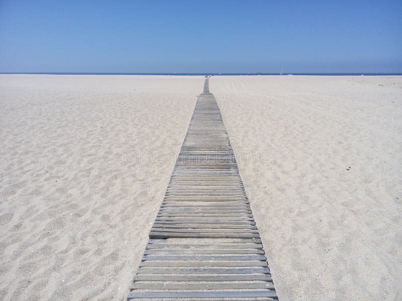 Endless stock image. Image of portugal, endless, figueira - 63769305