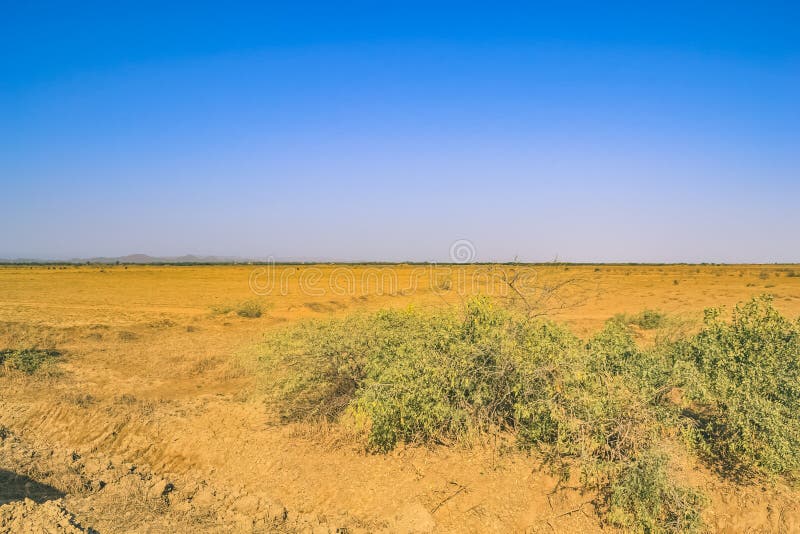 Endless Yellow Soil Land and Blue Sky Stock Image - Image of home ...