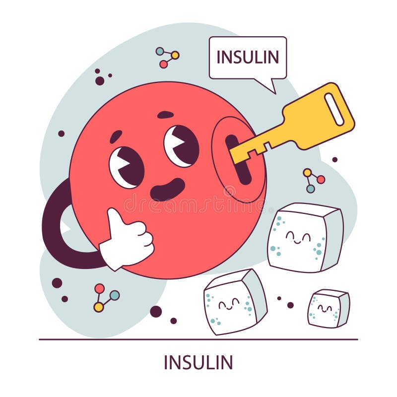 Endocrine System Organ. Human Gland Function. Adrenal Gland Stock ...