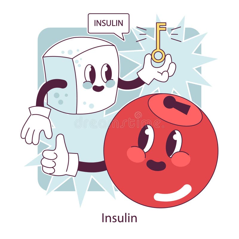 Endocrine System. Insulin Function Stock Vector - Illustration of ...