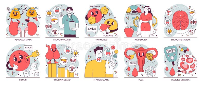 Endocrine Glands Cartoon Stock Illustrations – 49 Endocrine Glands ...