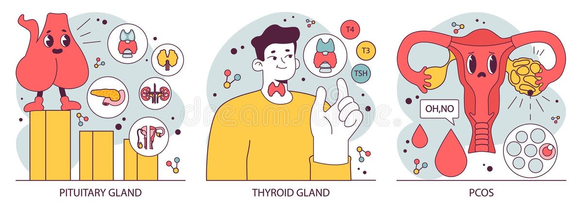 Endocrine Glands Cartoon Stock Illustrations – 45 Endocrine Glands ...