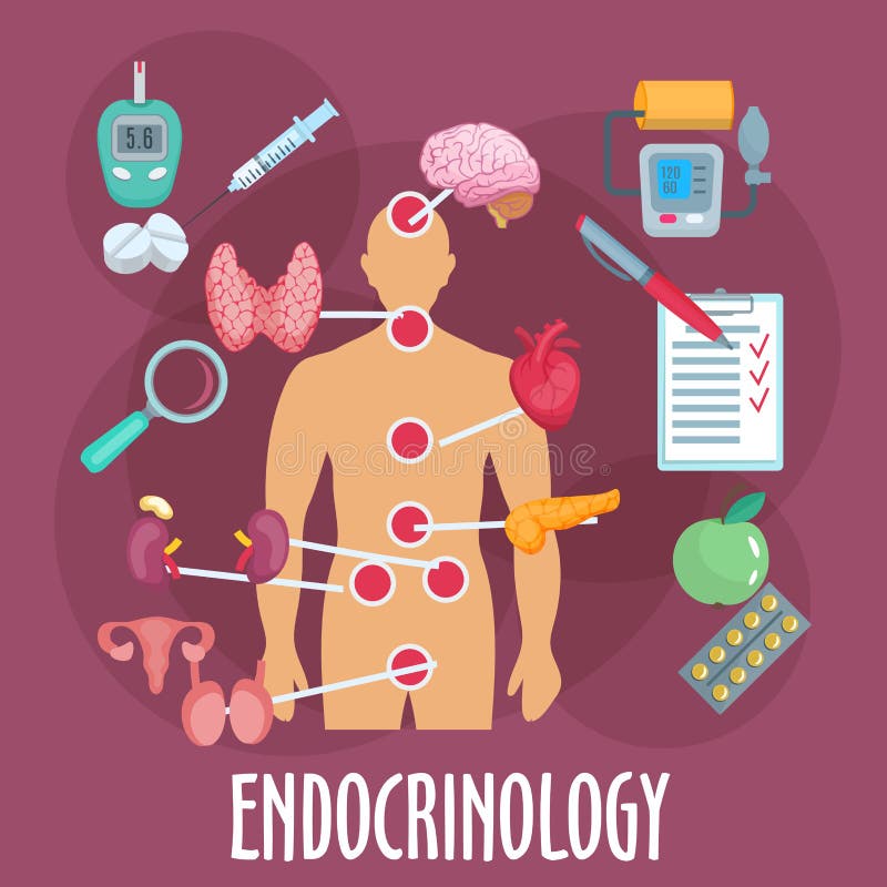 Endocrinologia E ícone Liso Do Sistema De Glândula Endócrina Ilustração ...