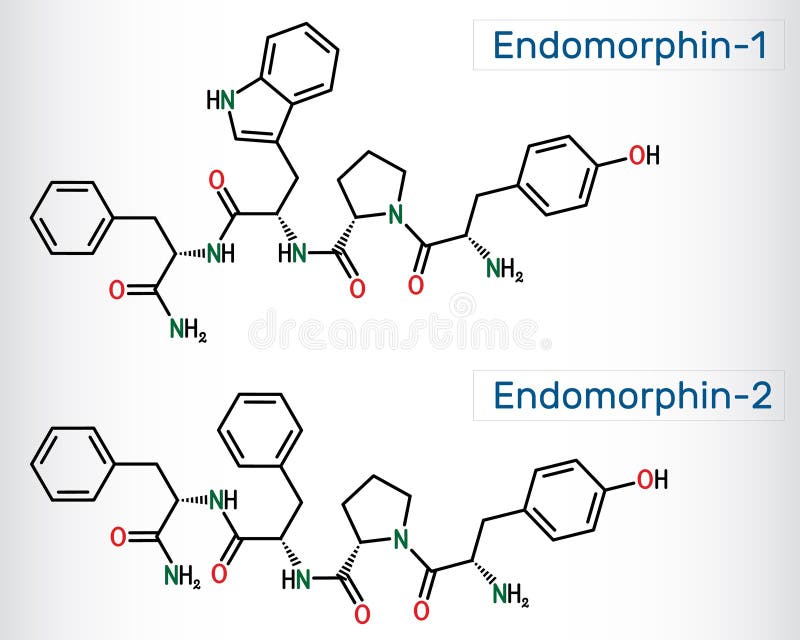 Endomorphin-1 (EM-1), Endomorphin-2 Molecule. Structural Chemical ...