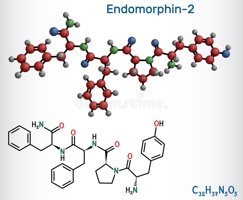 Endomorphin-2 Molecule. Natural Opioid Peptide. Structural Chemical ...