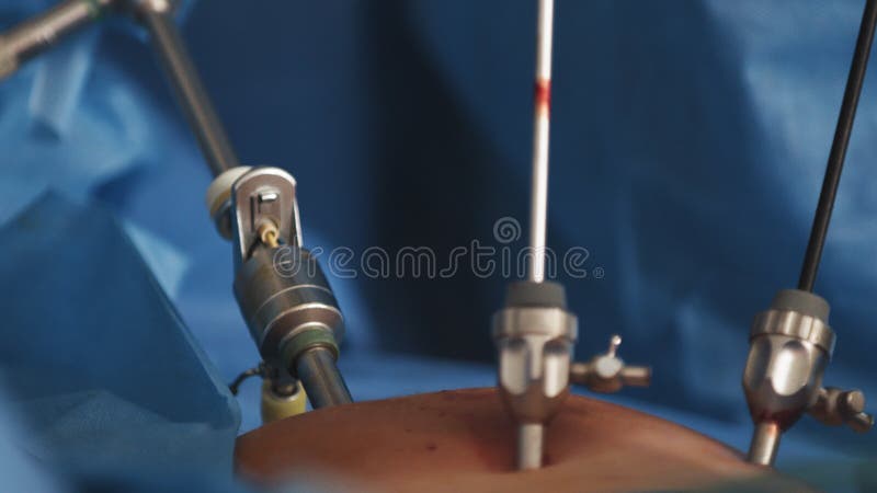 Endoscopic Surgery on a Pet in Veterinary Surgery. a Surgeon Operates ...