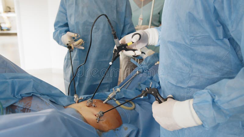 Endoscopic Surgery on a Pet in Veterinary Surgery. a Surgeon Operates ...
