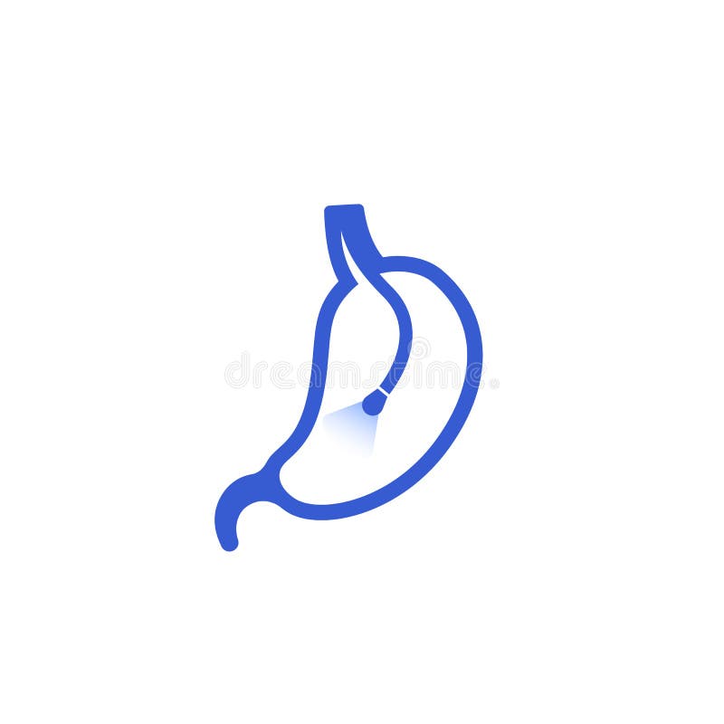 Endoscopy Icon, Stomach and Endoscope, Vector Stock Vector ...