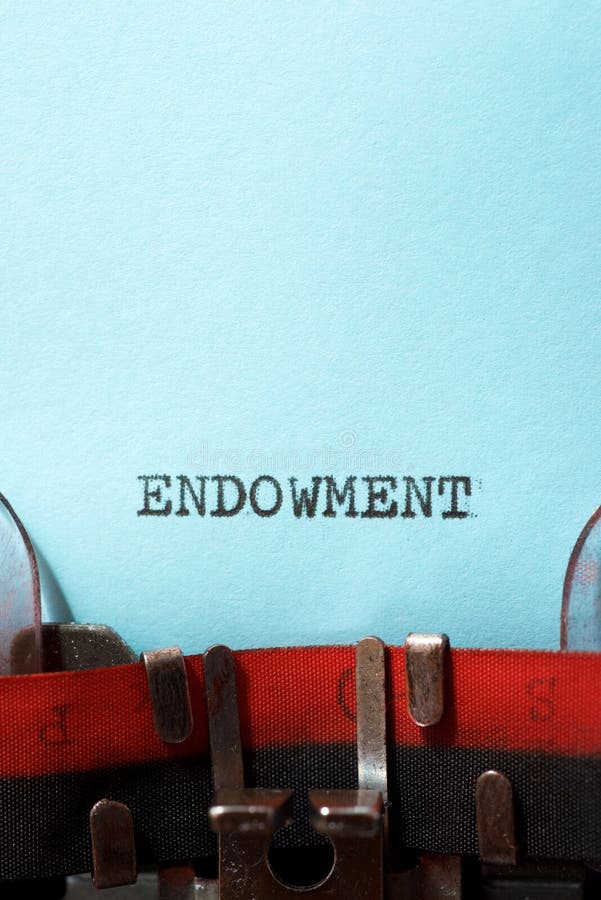 Endowment concept view stock image. Image of future - 251103771
