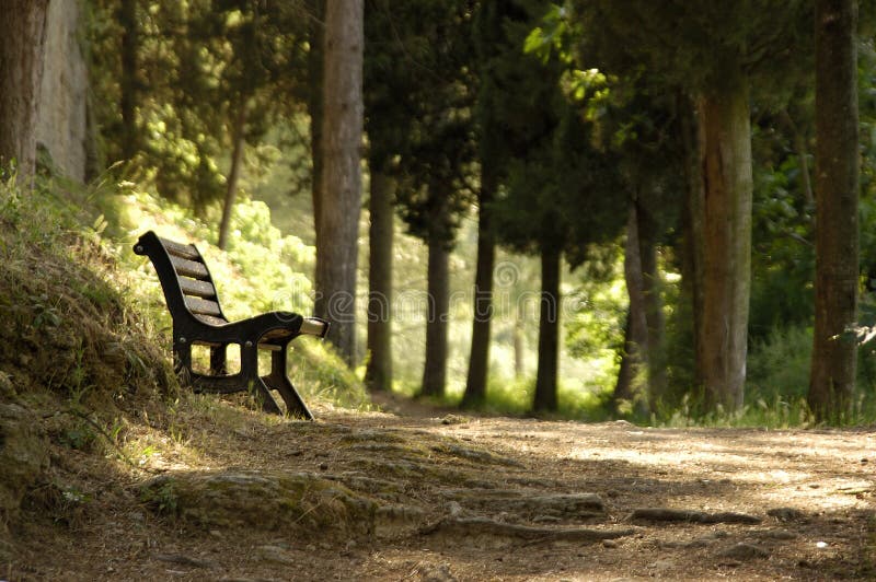 Endroit de repos photo stock. Image du promenade, détendez - 149086
