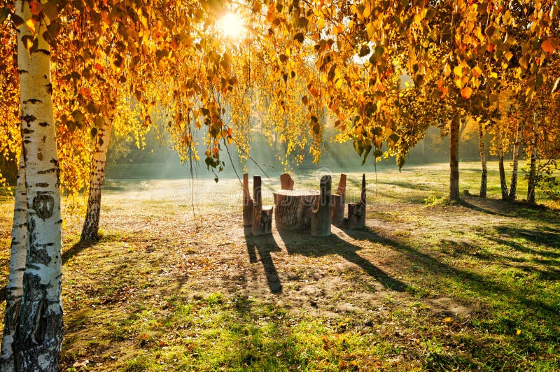 Endroit de repos en parc image stock. Image du fond, vert - 59731961