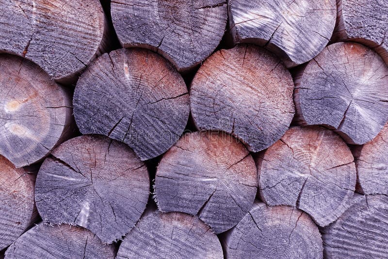 Ends of Logs Wooden Background. Toning Stock Photo - Image of pine ...