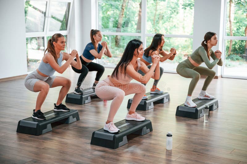 Endurance Exercise. Group of Women Practicing Fitness in the Gym Stock Photo - Image of indoors ...