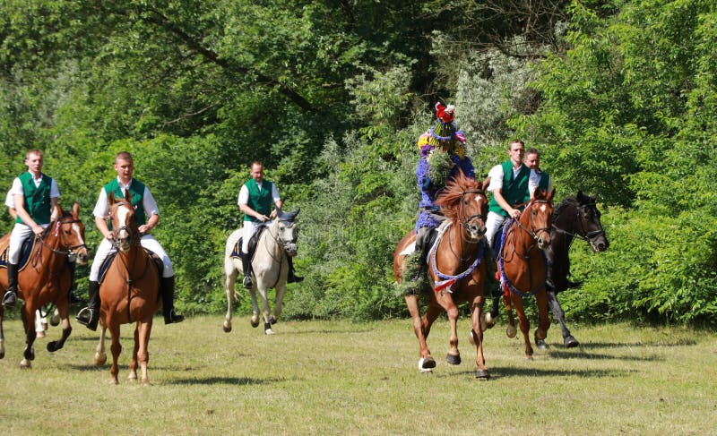Endurance Riding, Trail Riding, Equestrianism, Horse Picture. Image ...