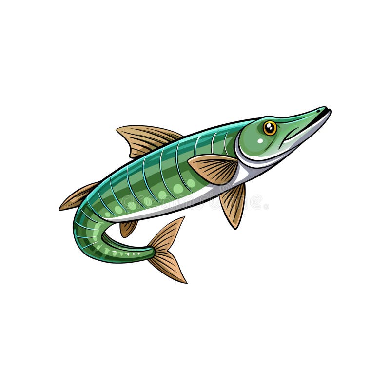 Dynamic Gar in Lively Aquatic Artwork Stock Illustration - Illustration ...
