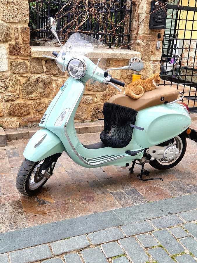 A Dog Lying on the Back of a Moped Parked in Front of a Gate Editorial ...