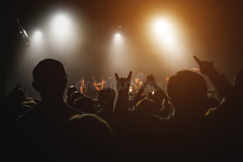 Energetic Concert Crowd Silhouettes -the Electrifying Atmosphere of a ...