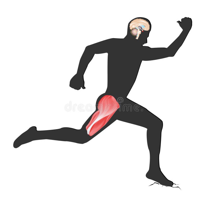 Energetic silhouette man stock vector. Illustration of brain - 62638354