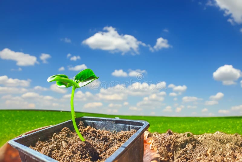 Energy and Ecology Concept. the Environment. Earth Day. Protecting the ...