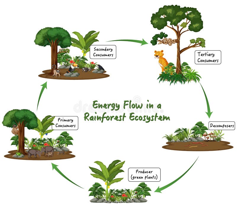 Ecosystem-diagram stock illustration. Illustration of world - 53792735 Ecosystem-diagram stock illustration. Illustration of world - 53792735