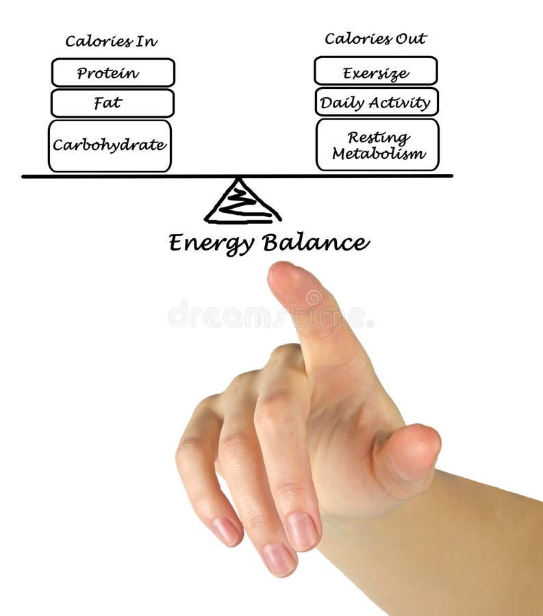 Energy Intake and Energy Expenditure Stock Image - Image of resting ...