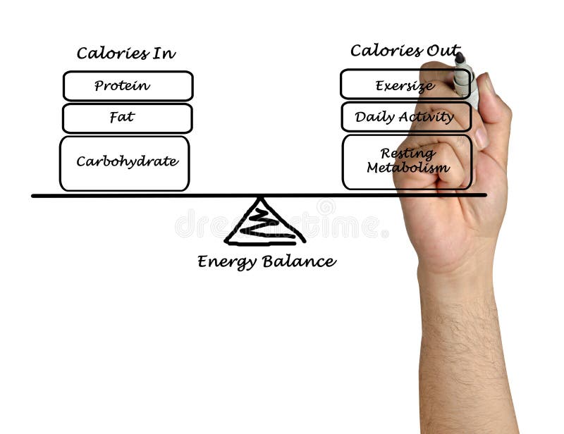 Energy Intake and Energy Expenditure Stock Image - Image of doctor ...