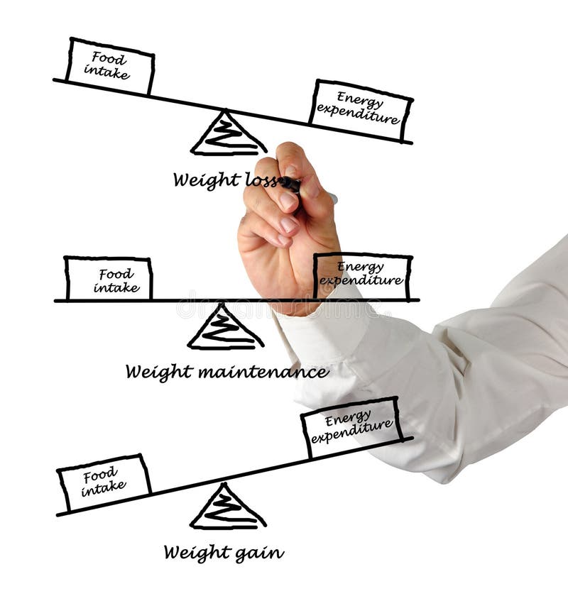 Energy Intake and Energy Expenditure Stock Image - Image of consumption ...