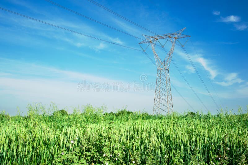 Energy and Overhead Powerline Stock Image - Image of current, cornfield ...