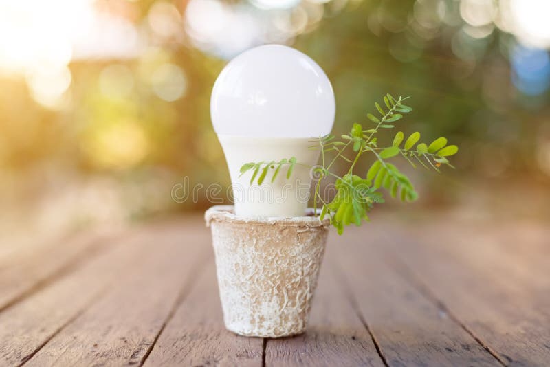 Energy Saving LED BULB ECO with the Environment Stock Image - Image of ...