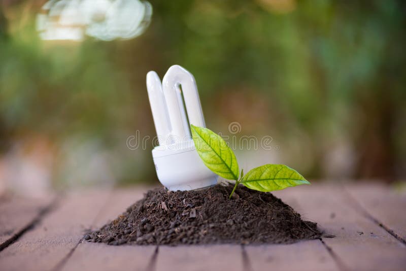Energy Saving LED BULB ECO with the Environment Stock Photo - Image of ...