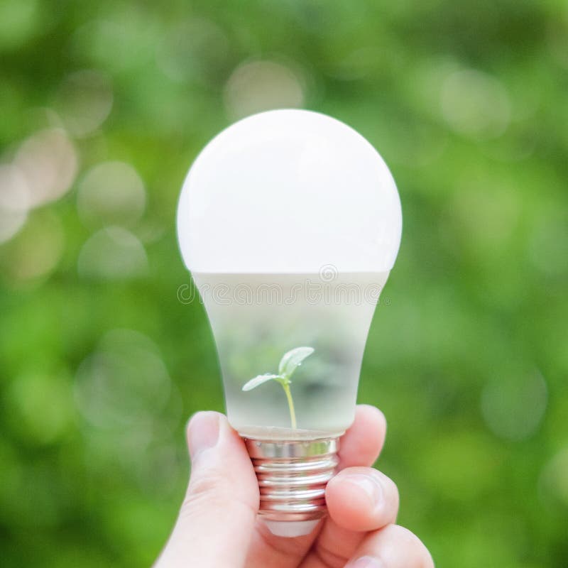 Energy Saving LED BULB ECO with the Environment Stock Image - Image of ...