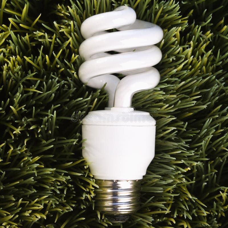 Energy saving light bulb stock image. Image of vertical - 2047251