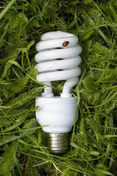Energy saving light bulb stock photo. Image of environmentalist - 5143186