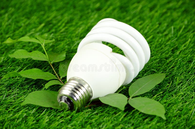Energy Saving Light Bulb and Green Environmental Concept. Stock Photo ...