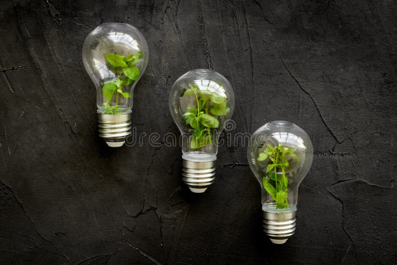 Energy Saving Light Bulb with Green Plant Inside, Top View Stock Image ...