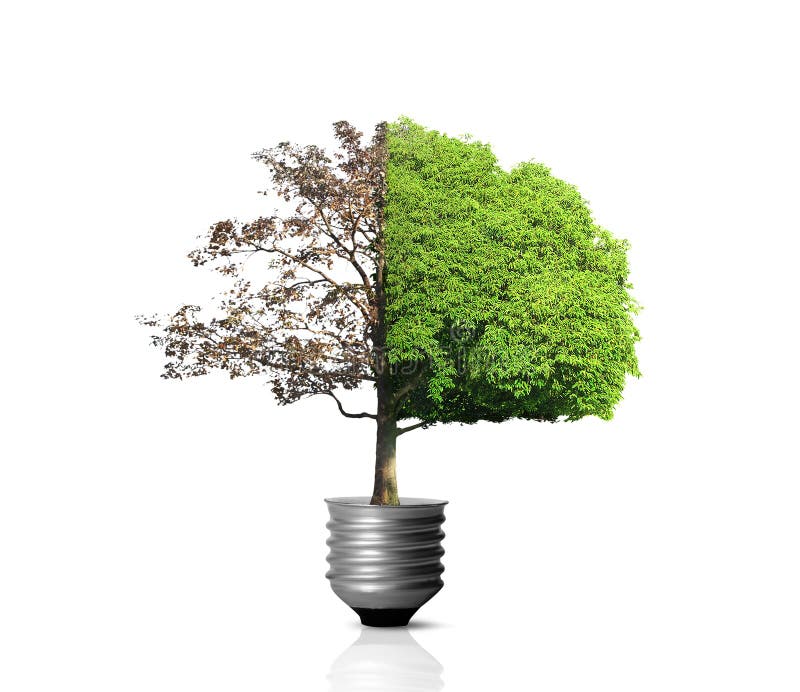 Energy saving light bulb stock image. Image of electricity - 95823019