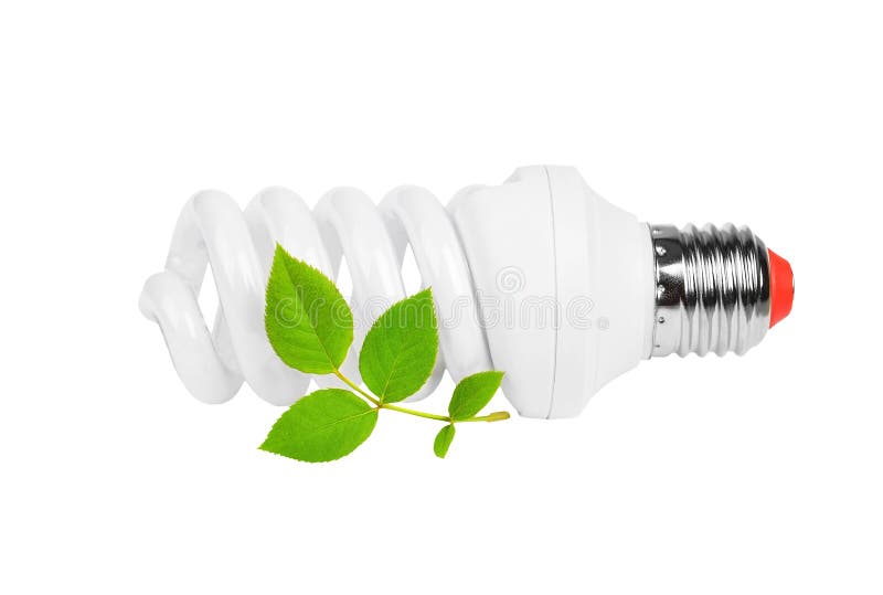 Energy Saving Light Bulb and Plant Stock Image - Image of branch ...