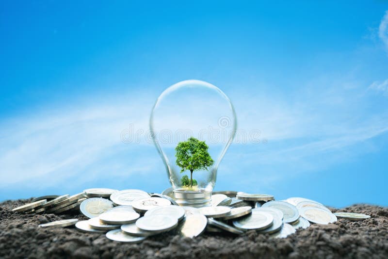 Energy Saving Light Bulb and Tree Growing on Nature Background. Stock ...
