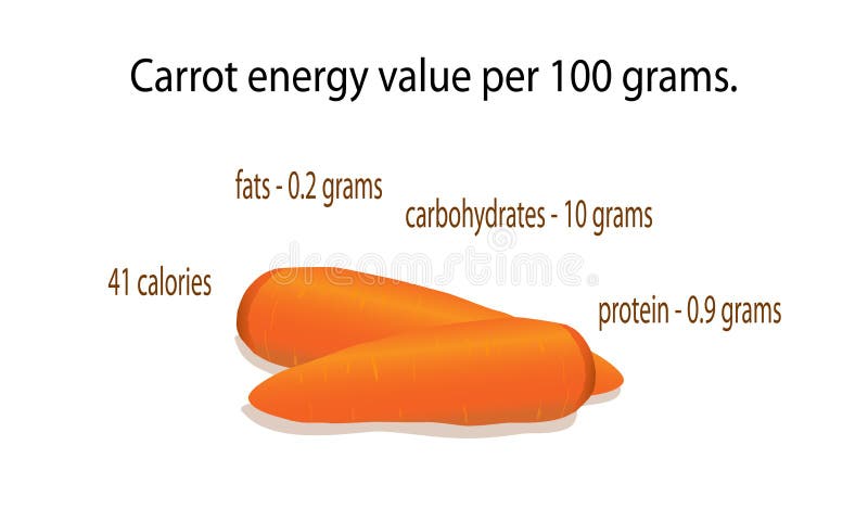 The Energy Value of the Carrots Stock Vector - Illustration of value ...