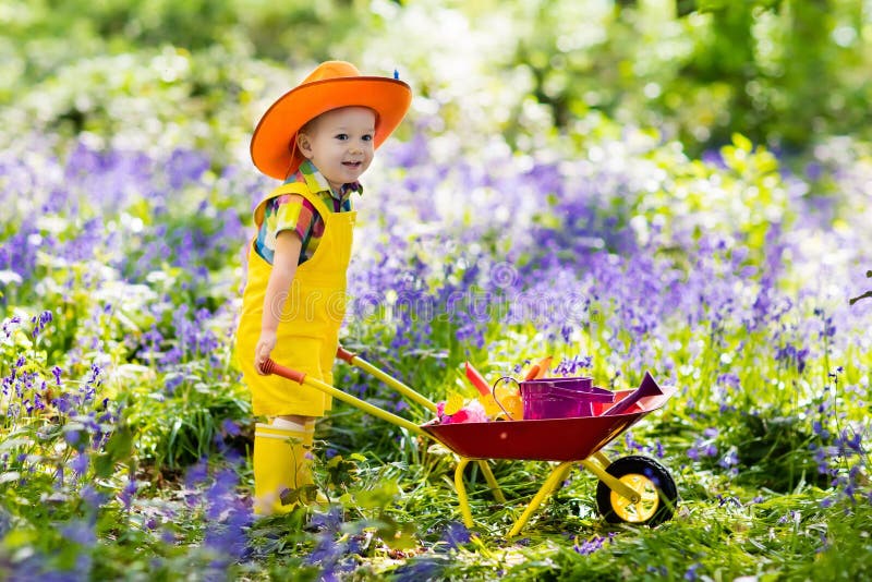 Enfants Dans Le Jardin De Jacinthe Des Bois Photo stock - Image du ...