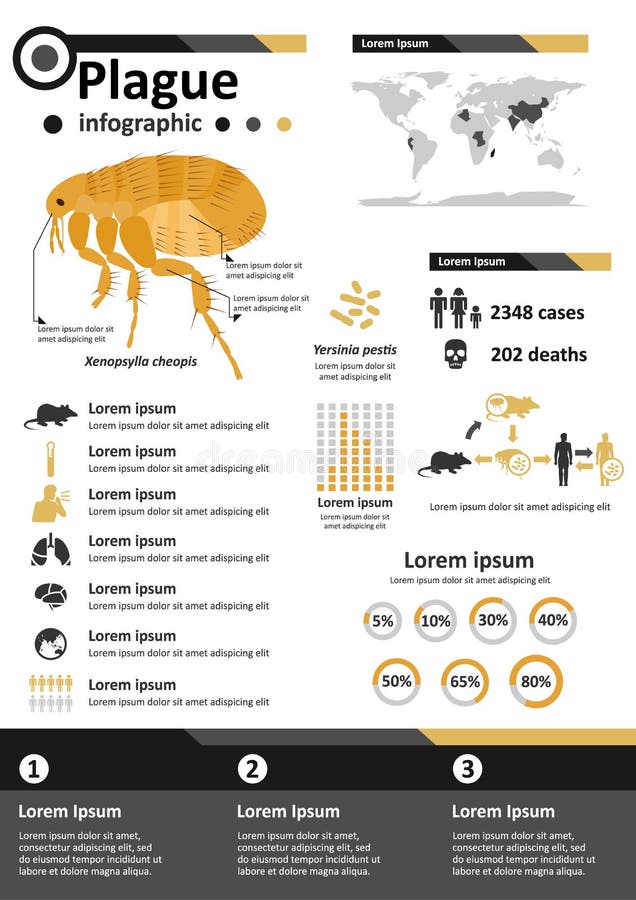 Enfermedad Infecciosa Infographics - Plaga Ilustración del Vector ...